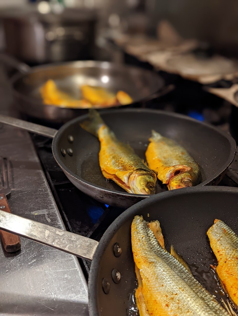 Cooking Classes - The Caspian Chef - Omid Roustaei