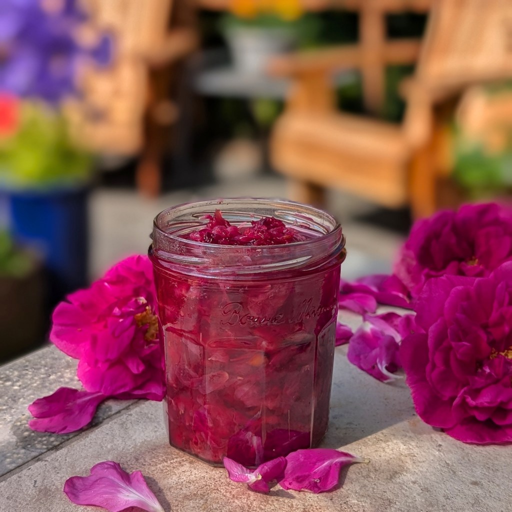 Rugosa Rose Jam: Memories and Nostalgia with Roses - The Caspian Chef